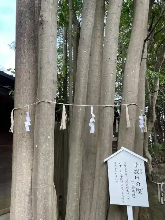 検見川神社(千葉県検見川駅)の投稿(1回目)。桜🌸がキレイに咲い 検見川神社(千葉県検見川駅)の投稿(1回目)。桜🌸がキレイに咲い